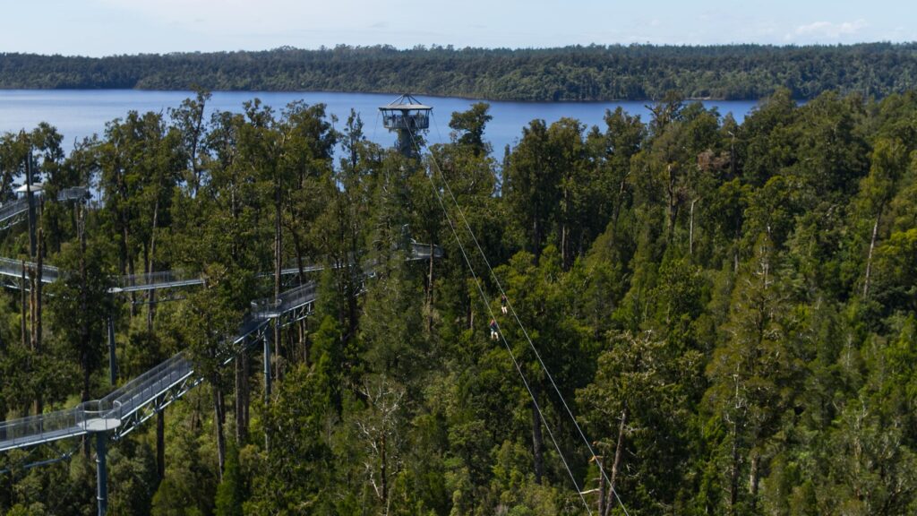 West Coast Treetop Walkway | A Walk To Remember