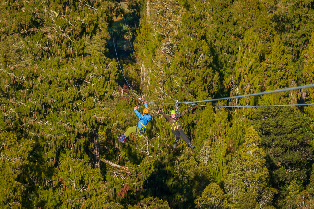 Science & Mechanics Behind The West Coast Dual Zipline