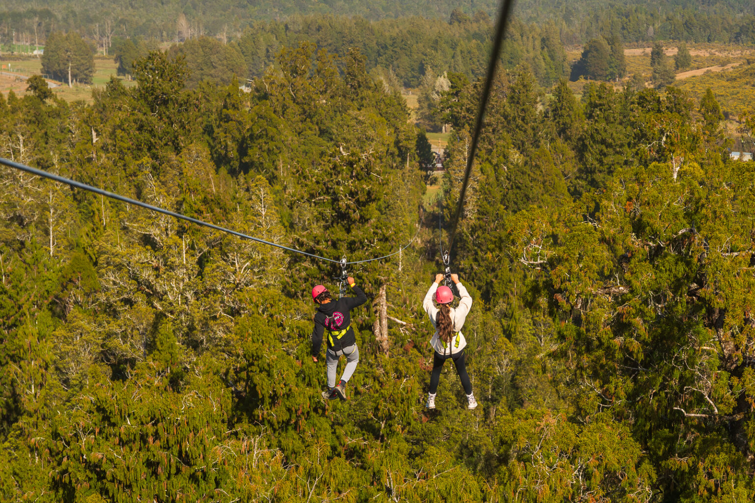 5 Must-do Ziplines in the South Island of New Zealand