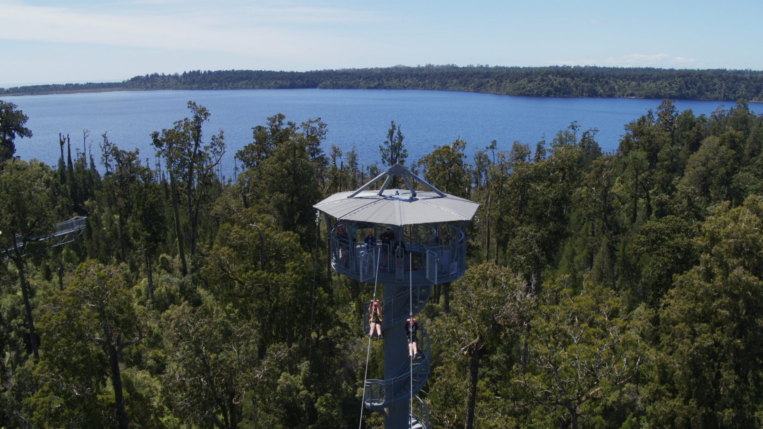 New Year, New Heights: Conquer the Treetops Zipline Adventures