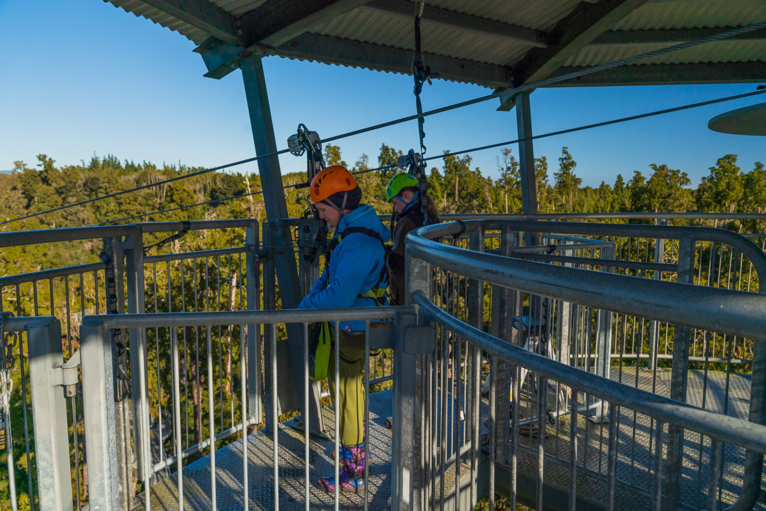 Tips for the Best Treetop Walk & Zipline Experience